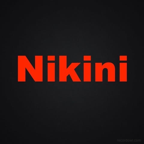 NIKINI AUTOMATION SYSTEMS PTE LTD (198903415E)