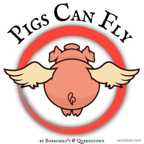PIGS CAN FLY PTE. LTD. (202320955E)