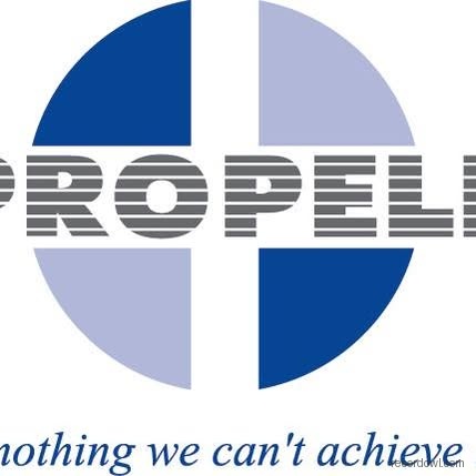 PROPELL INTEGRATED PTE LTD (199903182D)