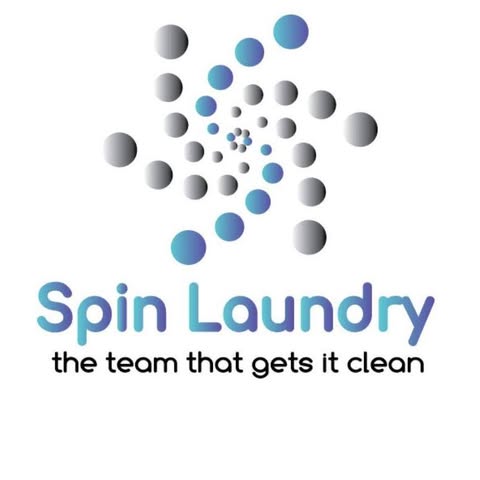 THE FRESH SPIN SG PTE. LTD. (202443135M)